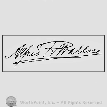 Marks in Natural History