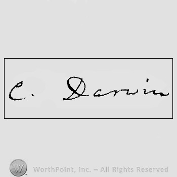 Mark with Signature: Charles Darwin. | #334492