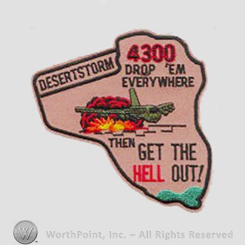 Mark with Desert Shield & Desert Storm Patches : | #343946