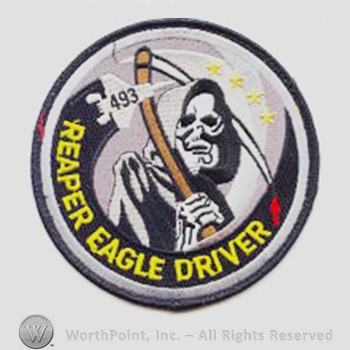 Mark with F-15 Eagle Swirls Patch : 493d Fighter | #344500