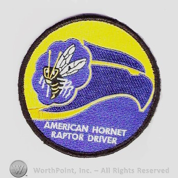 Mark with F-22 Raptor Swirls Patch : 43d Fighter | #344973