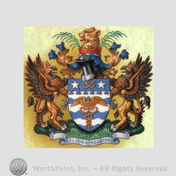 Mark with Heraldry: Blue-White wave striped | #493929