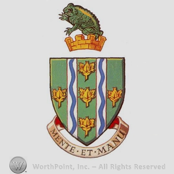 Mark with Heraldry: A frog atop a crowned shield | #524799