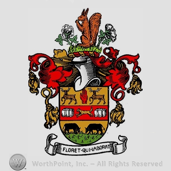 Mark with Heraldry: squirrel, cotton, helmet, | #526719