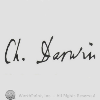 Mark with Signature: Charles Darwin. | #551112