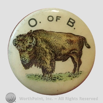 Mark with A large buffalo sitting on the grass | #580490