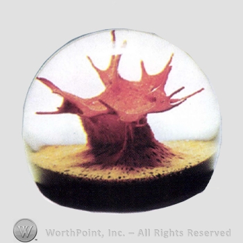 Mark with Glass Pattern: CORAL; paperweight. | #808954