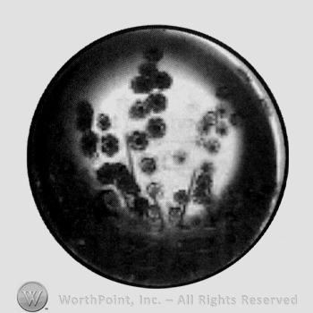 Mark with Glass Pattern: COTTAGE GARDEN; | #810621