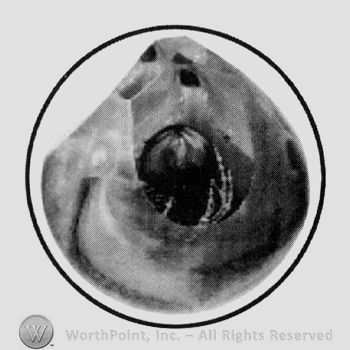 Mark with Glass Pattern: DEEP ENDEAVOUR; | #810625