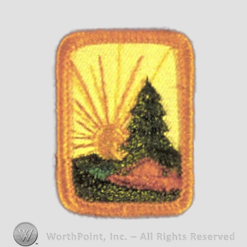 Mark with The sun, a pine tree, a field and a | #813494