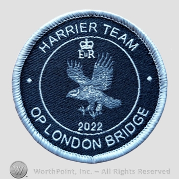 Mark with The text "EUR 2022 HARRIER TEAM OP | #943746